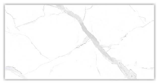 Statuario Polished 24x48 Porcelain Tile, 24x48 - Contemporary - Wall ...