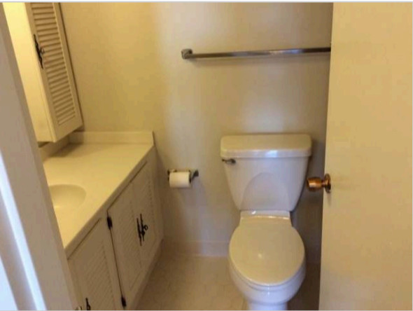 Master Bath - Solution to Vanity-Blocking Toilet?