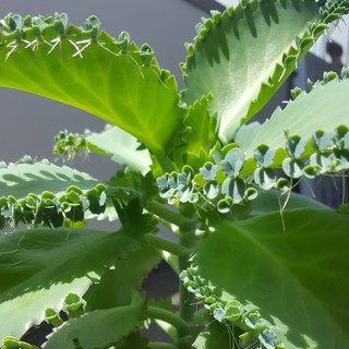 SLA STUDIO LAND - Project Photos & Reviews - Houston, TX US | Houzz