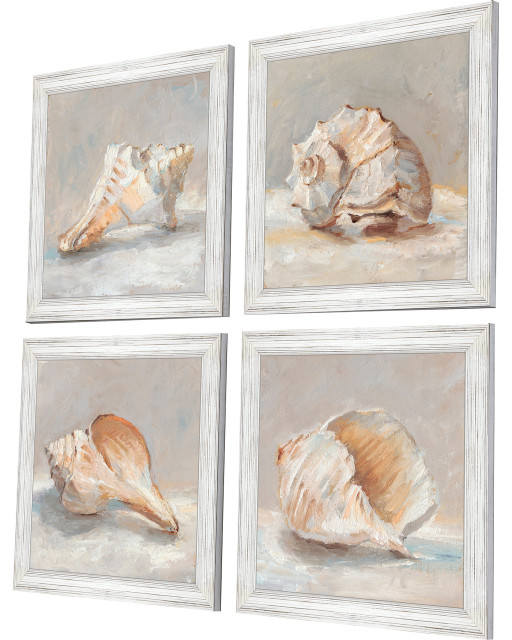 Shell Study Artwork, 4-Piece Set - Beach Style - Prints And Posters ...