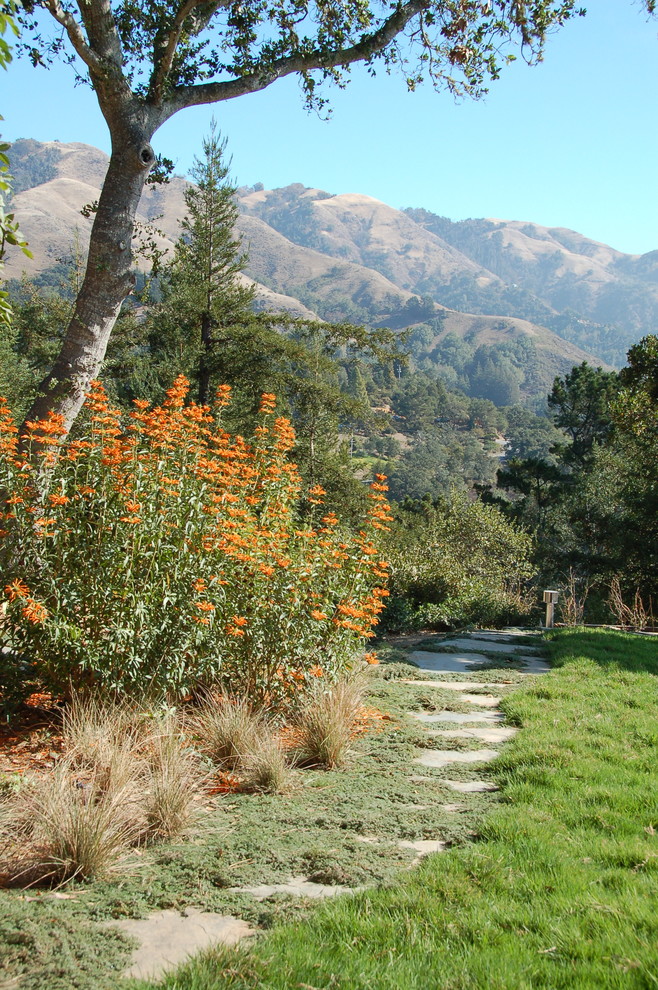 Voss House, Big Sur - Rustic - San Francisco - by Joni L. Janecki ...