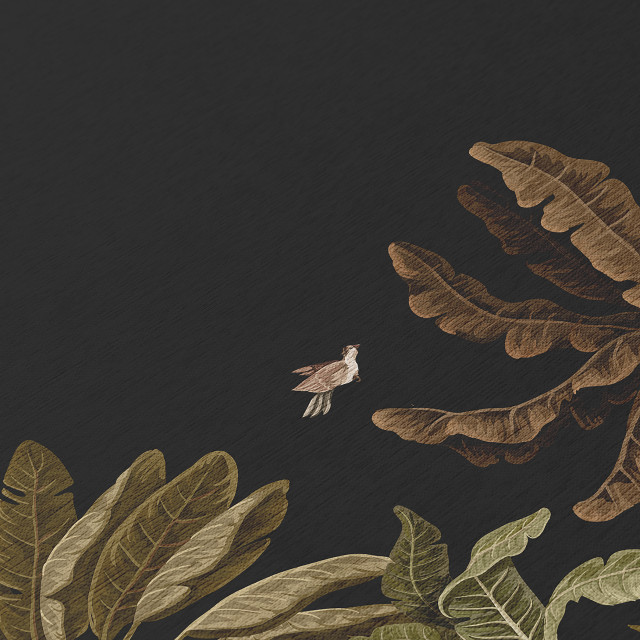 Indoor/Outdoor Tropics TC8 Black Machine Washable 10' x 14' Rug, 8' x ...