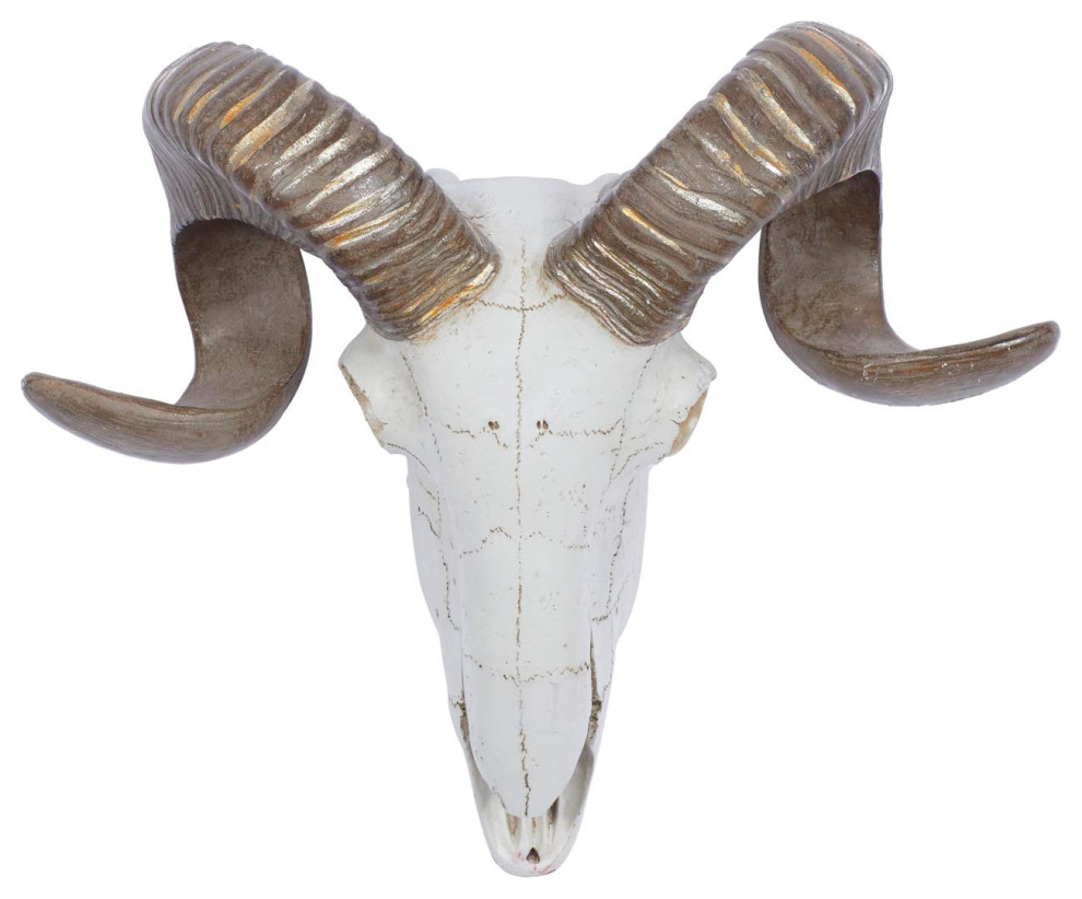 Zimlay White Farmhouse Skull Polystone Wall Decor 44737 - Southwestern ...