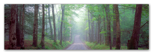 Doug Cavanah 'Tree Panorama' Canvas Art, 10"x32" - Contemporary ...