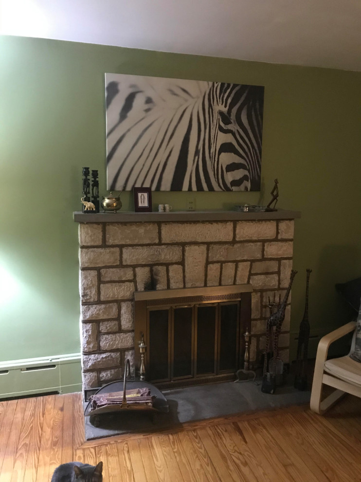 Zabra Print?!?!! | Houzz Forum