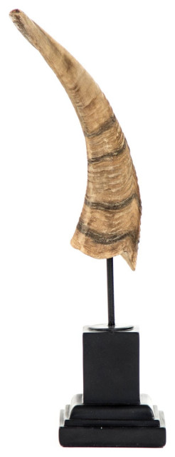 Horn With Base - Rustic - Decorative Objects And Figurines - by Hudson ...