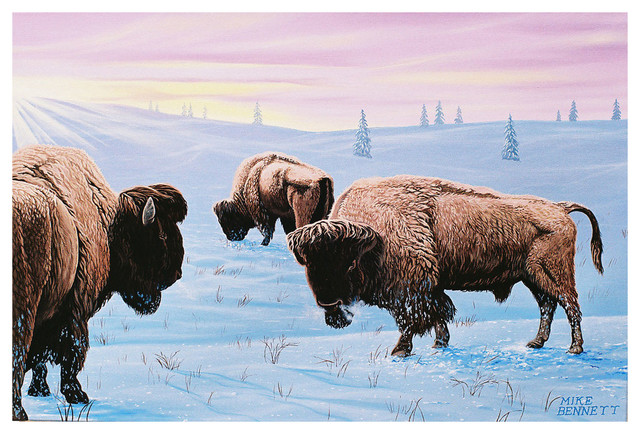 Mike Bennett Wyoming Buffalo Art Print, 24"x36" - Contemporary - Fine ...