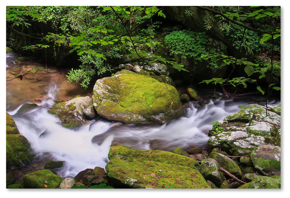 Bob Rouse 'Roaring Fork Stream' Canvas Art, 22"x32" - Rustic - Prints ...