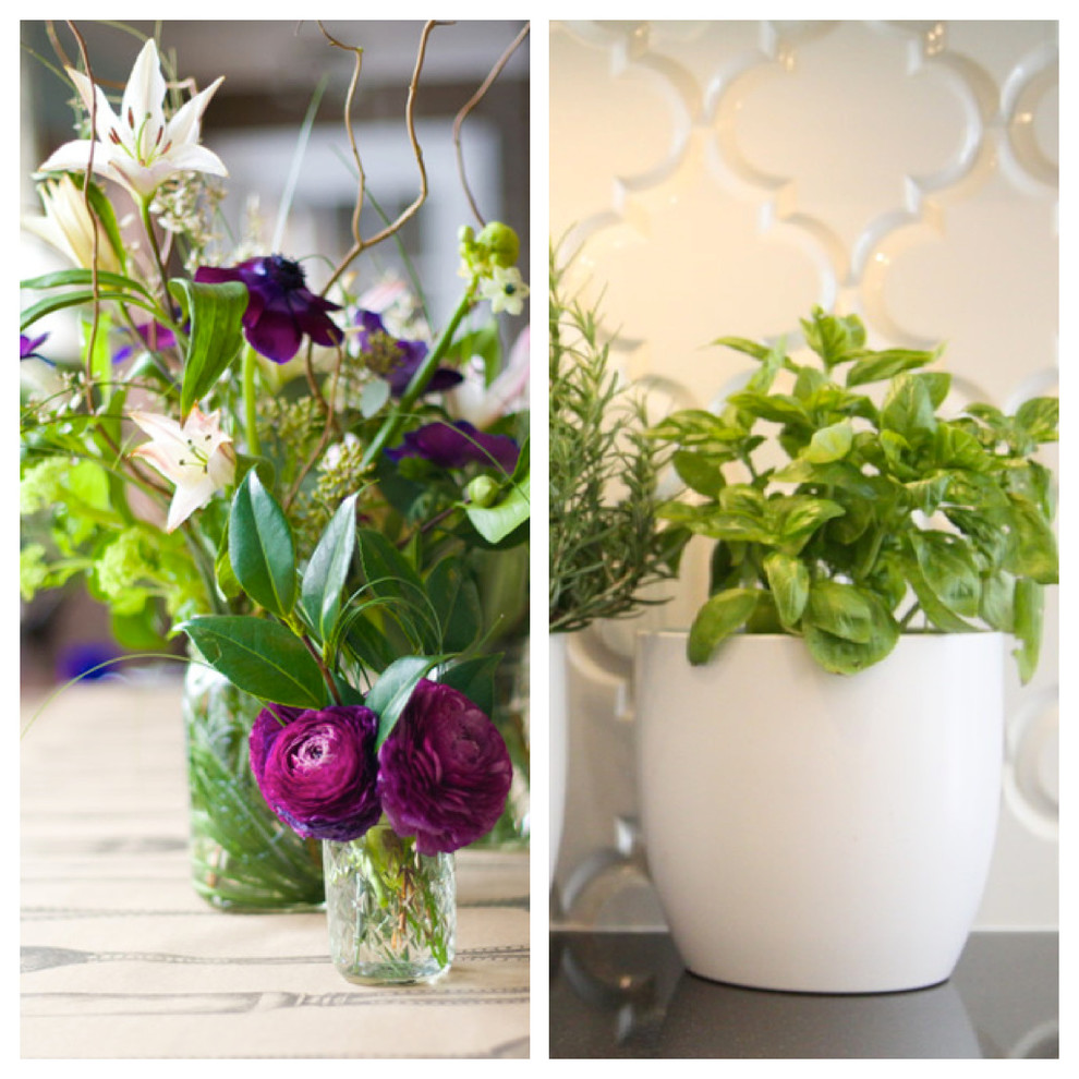 POLL: Cut flowers or living plants?