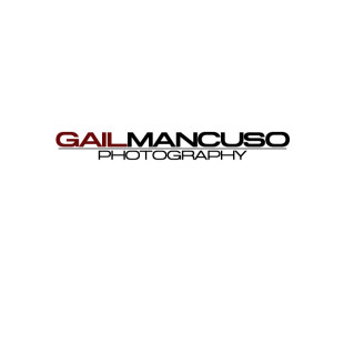 GAIL MANCUSO PHOTOGRAPHY - Project Photos & Reviews - Chicago, IL US ...