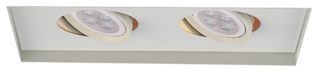 Low Voltage Multiple Two Light Invisible Trim, White - Recessed Trims ...