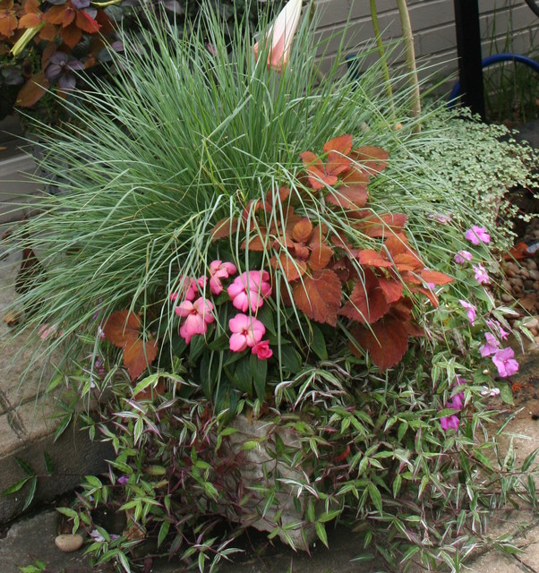 Container Garden Basics: Mix Textures to Catch the Eye