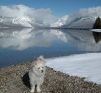 SILVERBROOK ESTATES - Project Photos & Reviews - Kalispell, MT US | Houzz