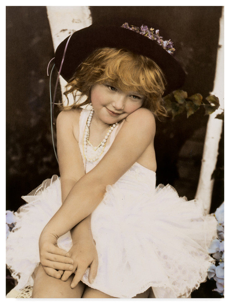 Sharon Forbes 'Swan Lake' Canvas Art, 19"x14" - Contemporary - Prints ...