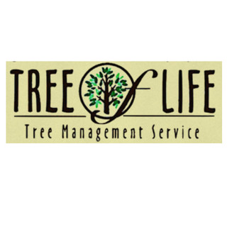 TREE OF LIFE TREE MANAGEMENT SERVICE - Project Photos & Reviews ...