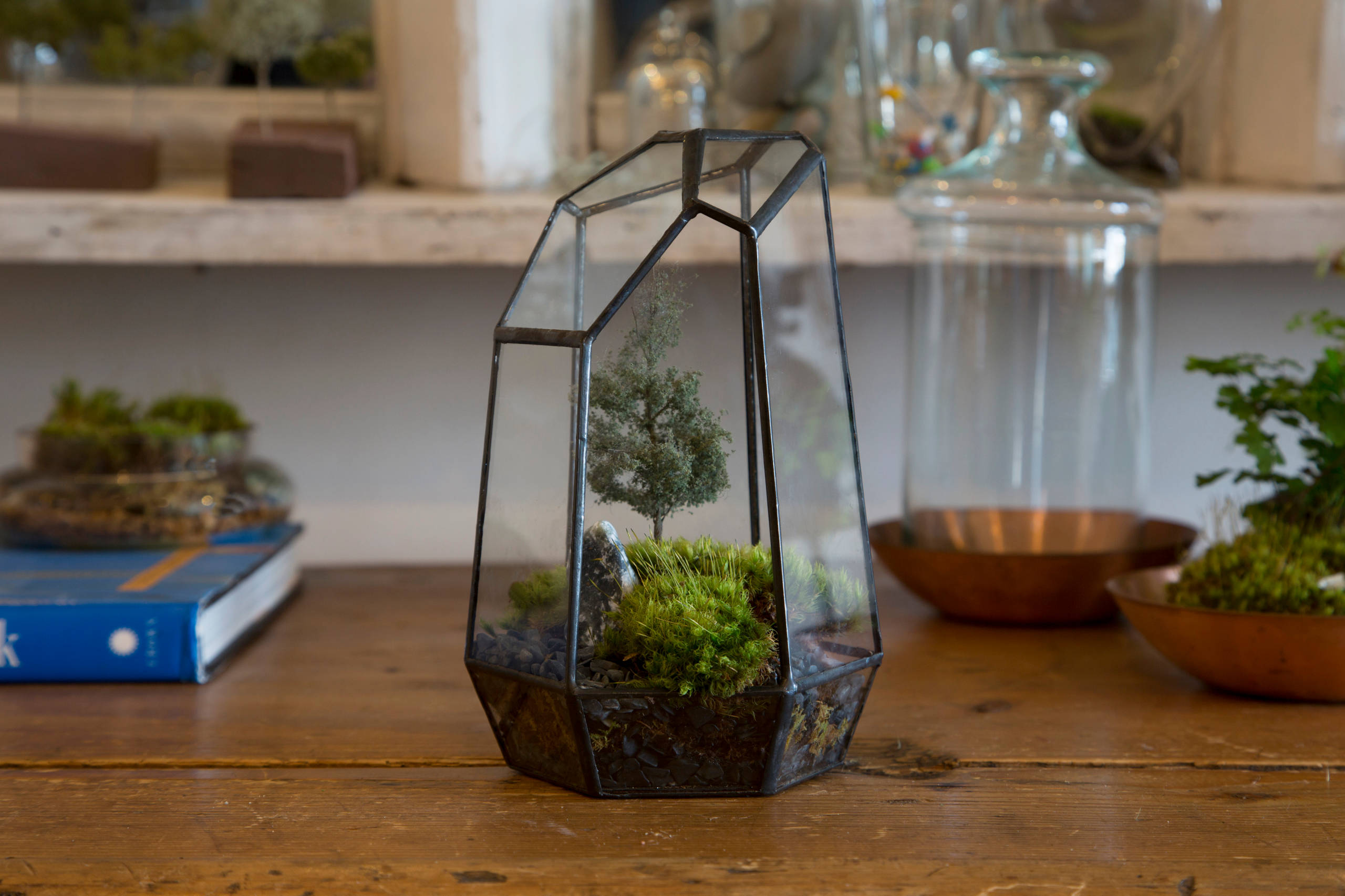 Home Time: Bring Touches of Forest Into Your House