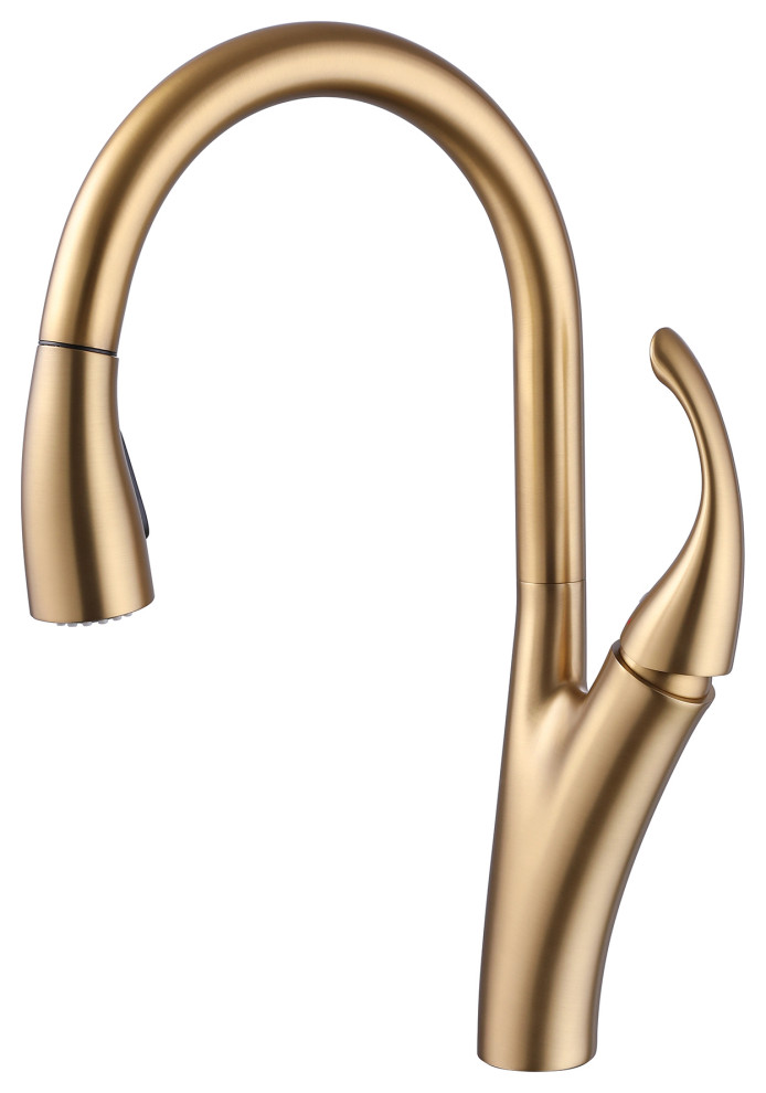 Dual-Function Pull Out Kitchen Faucet With Single Handle and Swivel ...