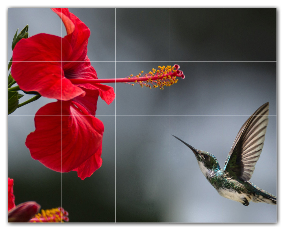 Bird Ceramic Tile Wall Mural HZ500192, 30" Wide x 24" High - Tropical ...