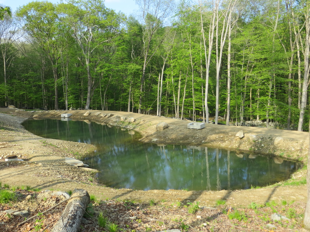 Need help with retention ponds to make them look more natural