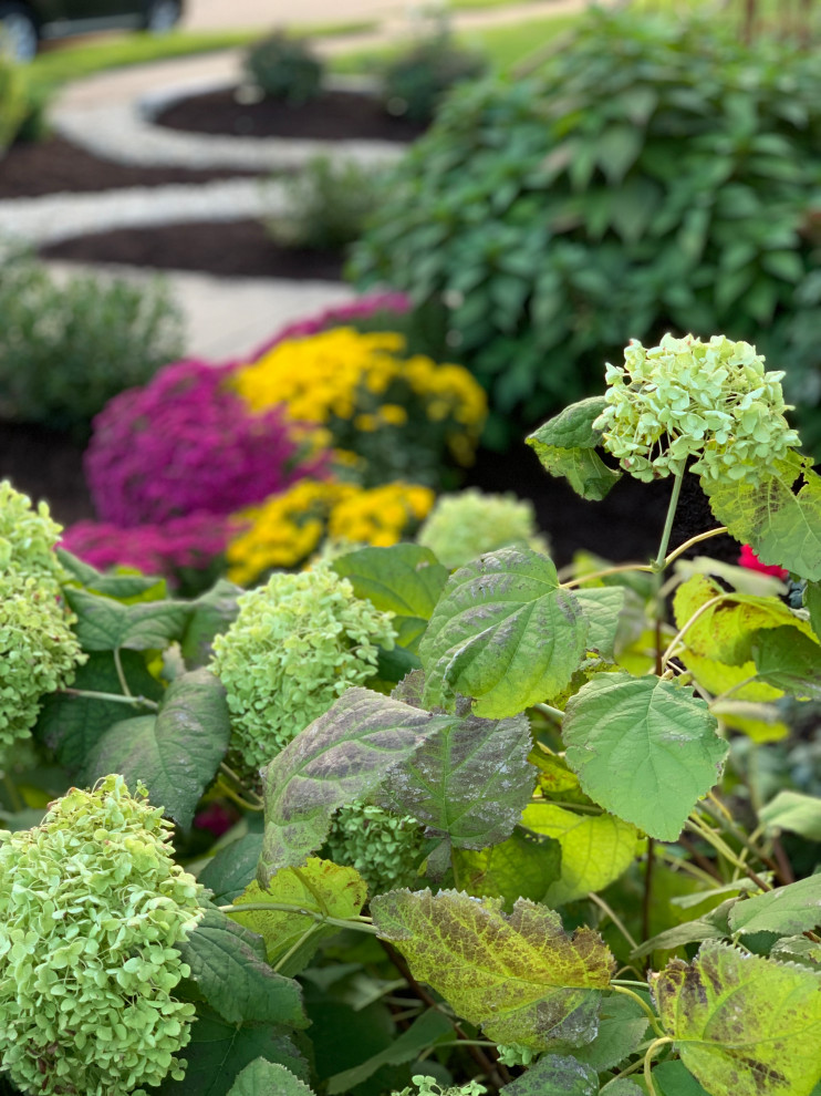 Grassless Front Yard - Landscape - Chicago - by Amliv Land Designs | Houzz