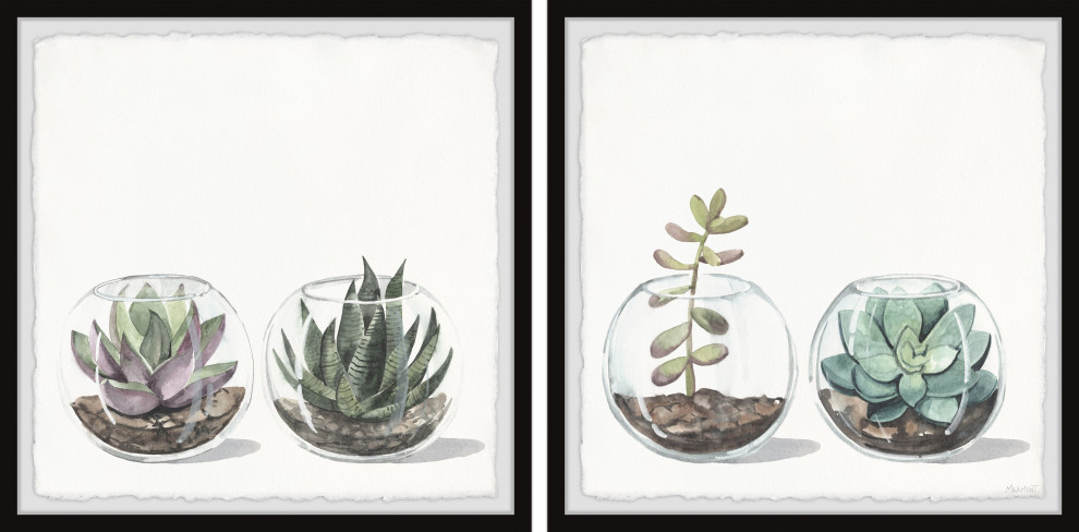 Round Glass Terrarium Diptych, 2-Piece Set, 12x12 - Contemporary - Wall ...