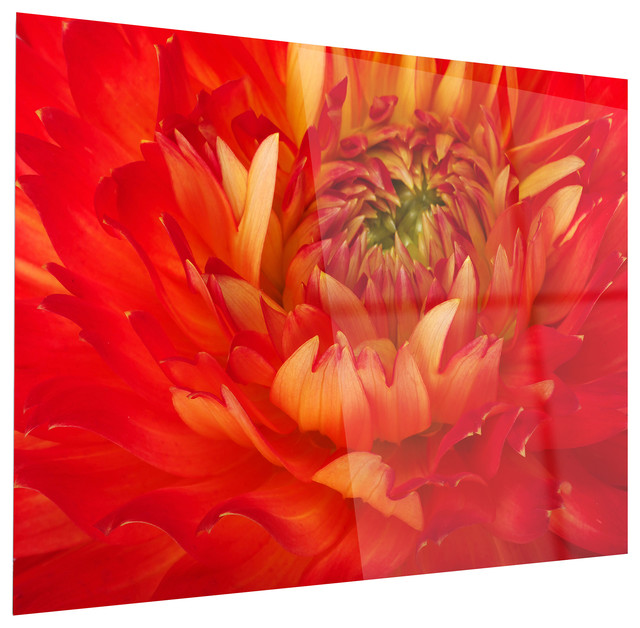 "Bright Red Close-Up Flower Petals", 48"x40" - Contemporary - Metal ...