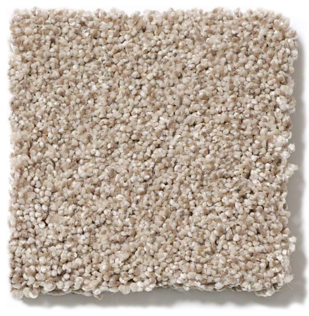Carpet Sample - Palette Style No. E9359 Color No. 00103 River Rock ...