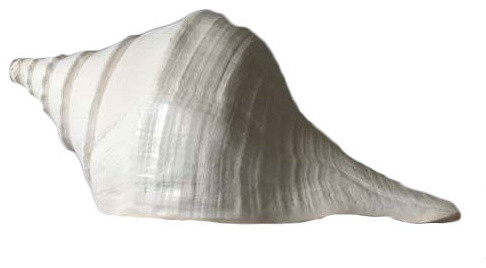 Conch Shell Garden Animal Statue - Beach Style - Garden Statues And ...