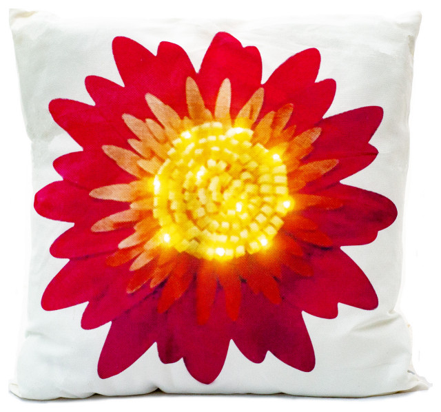 LED Pillows, Set of 2 - Contemporary - Decorative Pillows - by H.I.S.C ...