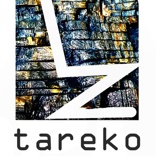 TAREKO ART AND DECOR - Project Photos & Reviews - miami, FL US | Houzz