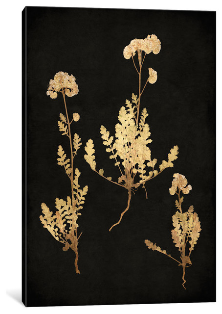 "Golden Nature V" by Kate Bennett, Canvas Print, 18x12x1.5 ...