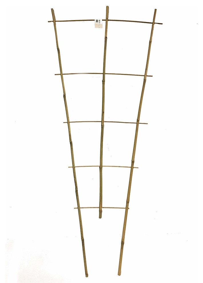 Bamboo Ladder Trellis, 48", 5-Tier, Set of 5 - Asian - Garden Trellises ...