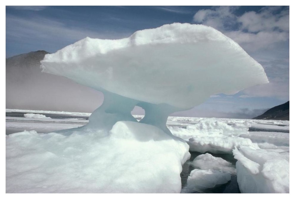 "Iceberg and ice floes, Baffin Island, Canada" Print by Flip Nicklin ...
