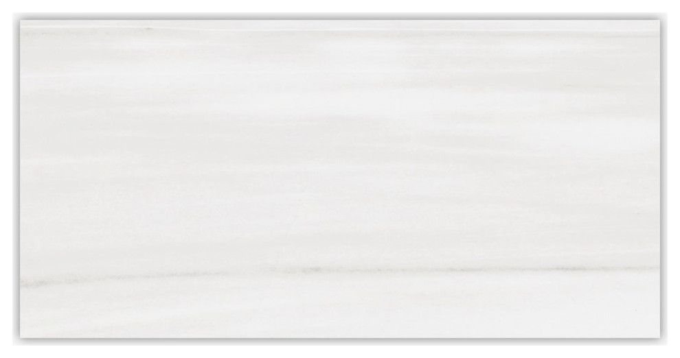 Dolomite White Polished 24x48 Porcelain Tile, 24x48 - Traditional ...