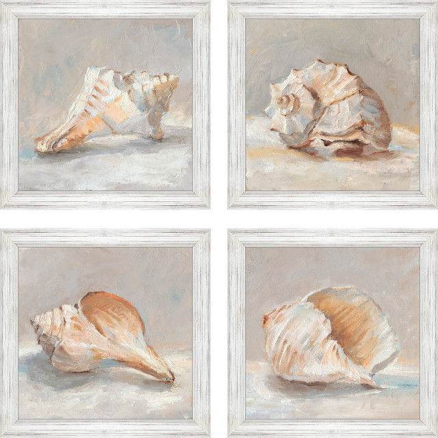 Shell Study Artwork, 4-Piece Set - Beach Style - Prints And Posters ...