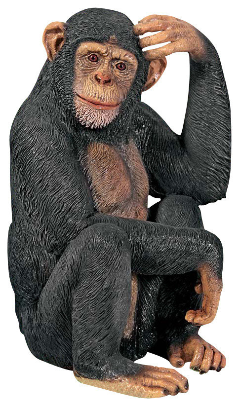 Chauncey the Confused Chimp Garden Monkey Statue - Contemporary ...