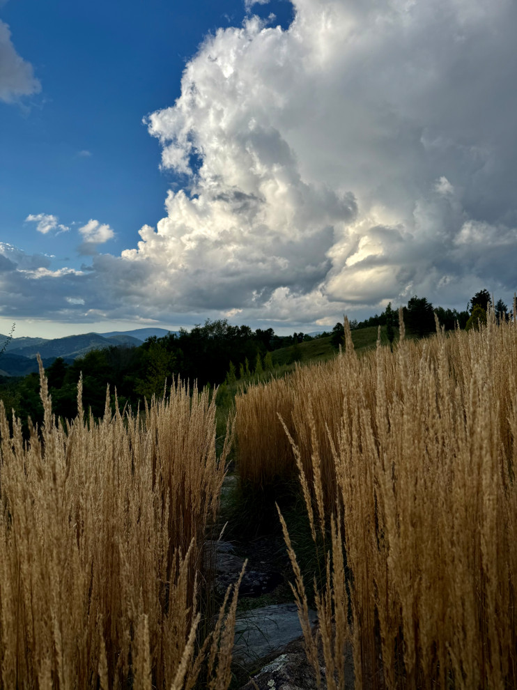 Mountain Top Magic - Eclectic - Landscape - Charlotte - by Jay Sifford ...