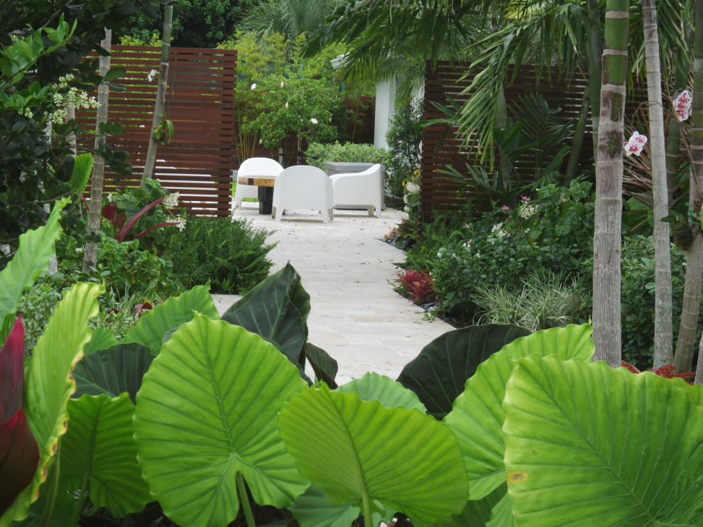 Caribbean Landscaping Ideas - Tropical - Miami - by Matthew Giampietro ...