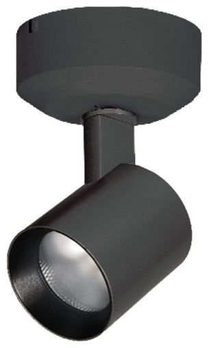 Lucio LED 10W Monopoint 3000K Narrow Beam, Black - Transitional - Flush ...