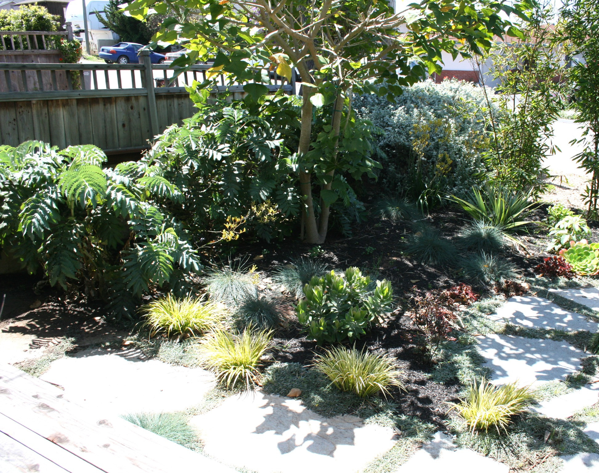 Transitional Landscape Design