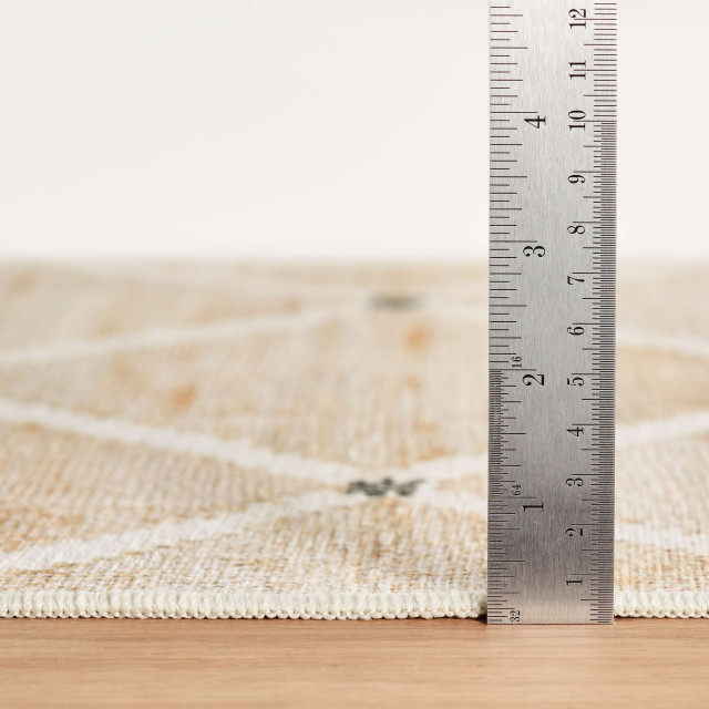 Kali Machine Washable Rug, 2x3 - Scandinavian - Area Rugs - by Annie ...