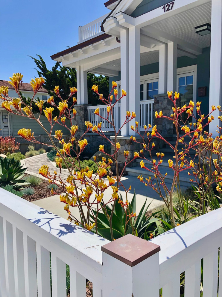 Beachside Curb Appeal - Beach Style - Landscape - Other - by Wildflower ...