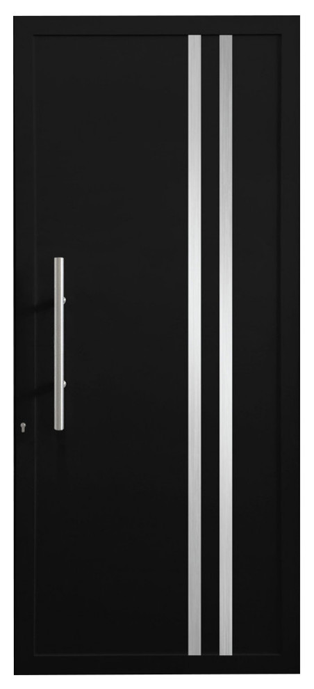 Leo Aluminum Series Entry Door, 48" x 96", Black - Contemporary - Front ...