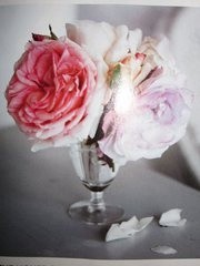 LISA BENNY - Reviews, interiors, contacts., AU | Houzz