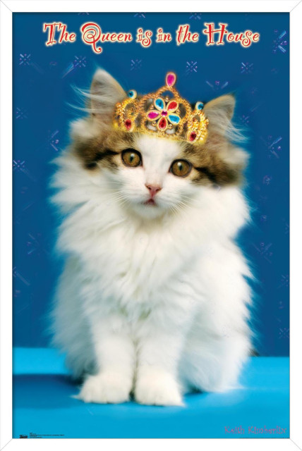 Keith Kimberlin - Kitten - Queen, 22.375" x 34" - Contemporary - Prints ...