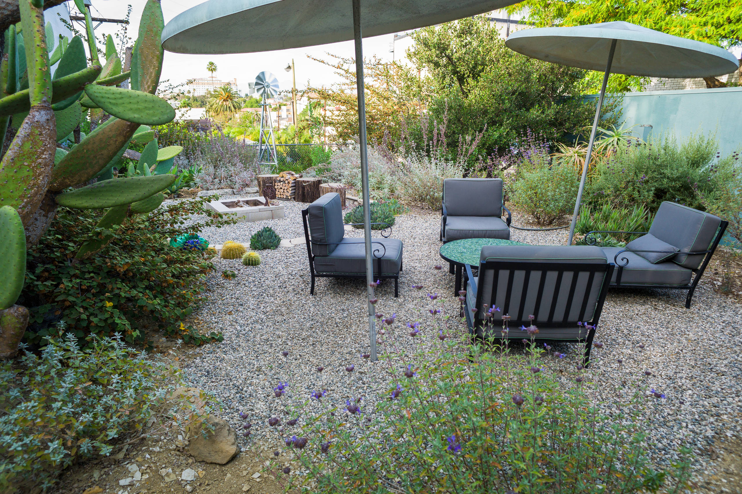 California Native Garden Ideas
