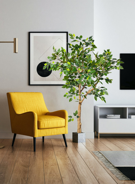 Serene Spaces Living Mini Ficus Tree, Real Looking Tree, 54" - Modern ...