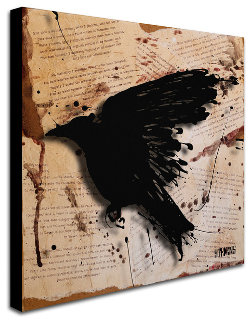 'The Raven 3' Canvas Art by Roderick Stevens, 24" x 24" - Contemporary ...