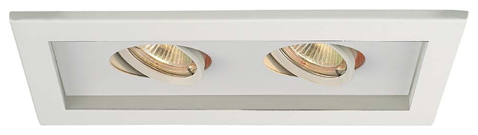Low Voltage Multiple Two Light Trim, White - Modern - Recessed Trims ...