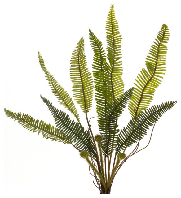 Fern Plant, 6-Piece Set - Traditional - Artificial Plants And Trees ...